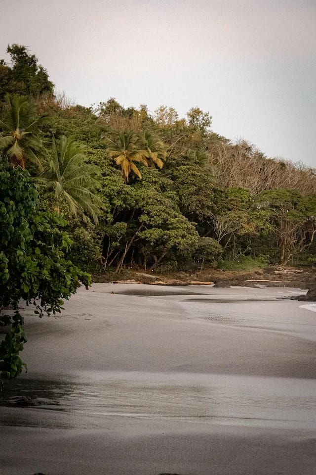 Discover the 5 Best Beach Towns in Costa Rica